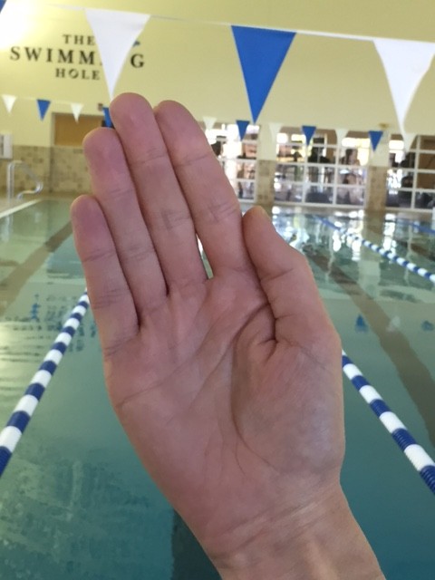Hand position for maximum swimming speed