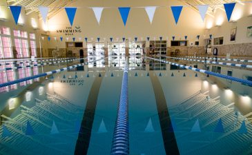 The Swimming Hole | Where Water Lives